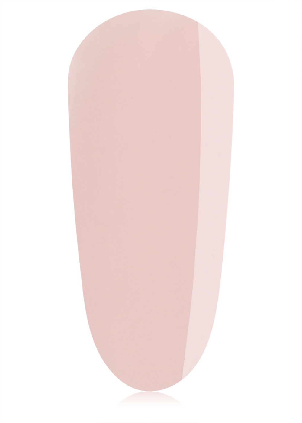 Sheers & Shimmers BIAB™ - 8 New Builder Gel Shades - The GelBottle NZ ...